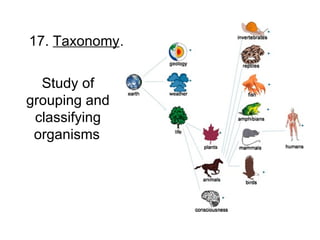 Topic 1 - What is Biology? | PPT