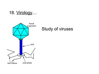 Topic 1 - What is Biology? | PPT