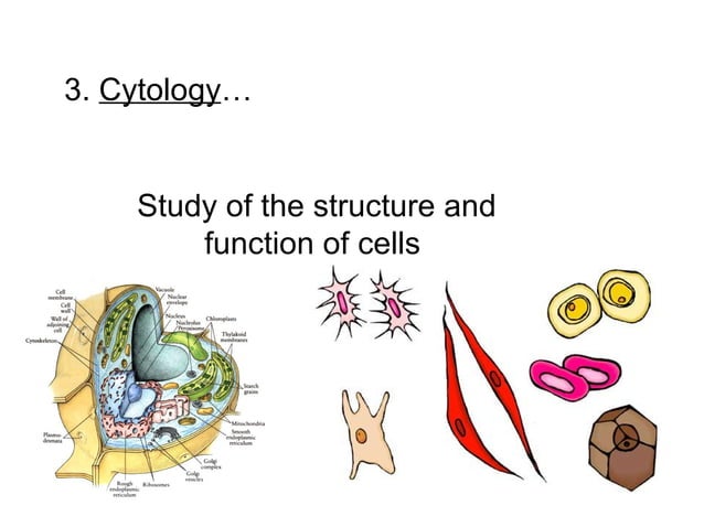 Topic 1 - What is Biology? | PPT