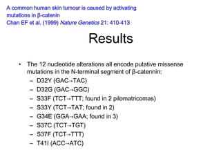 Topic 11 Slides On Gat Paper | PPT