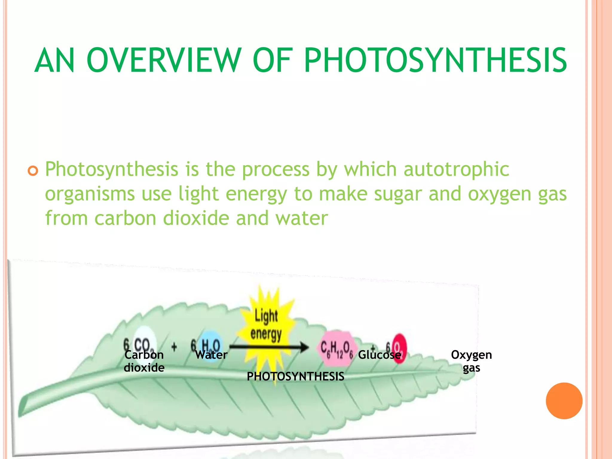 photosystem Iand II,ETC | PPTX