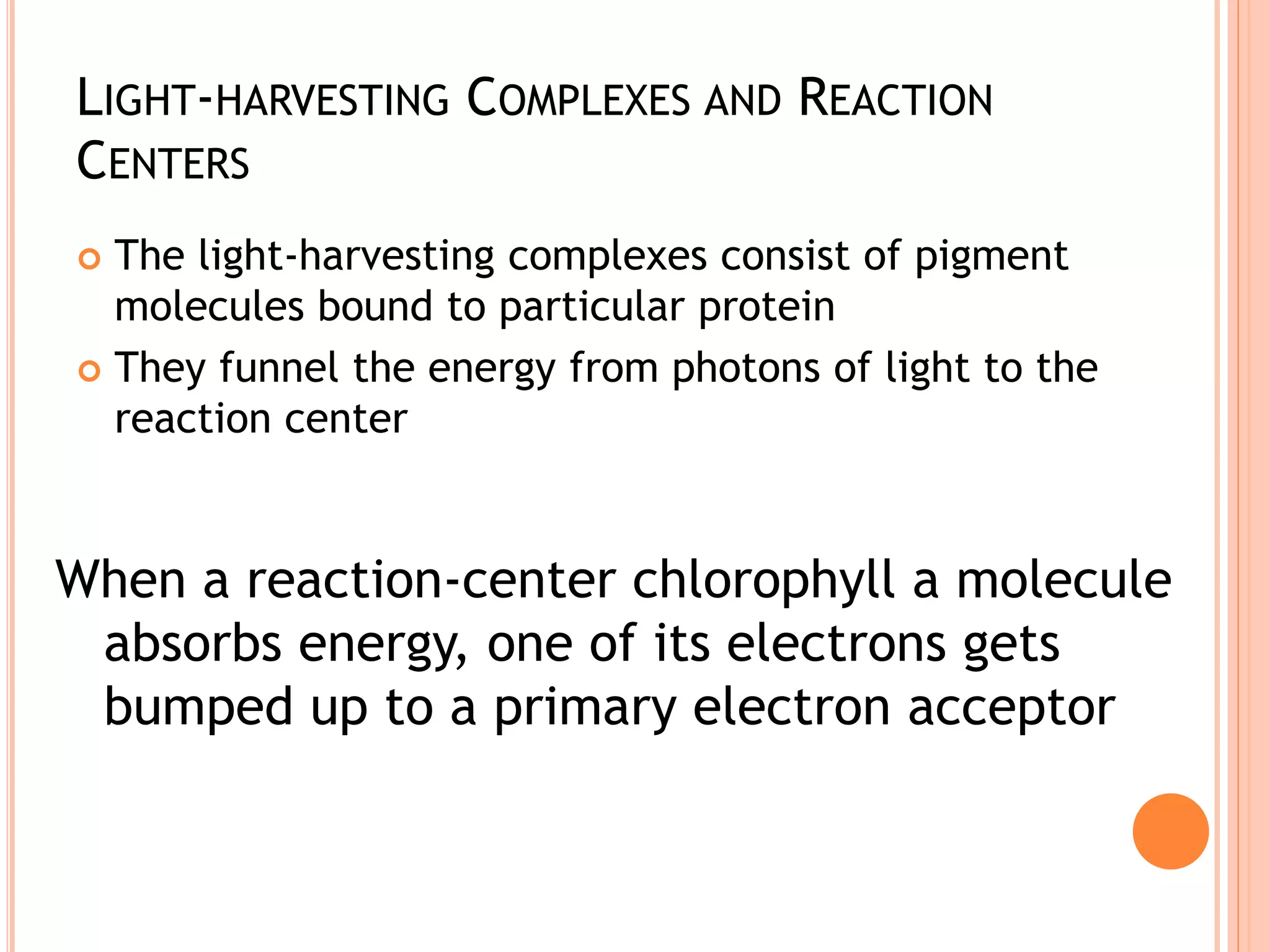 photosystem Iand II,ETC | PPTX