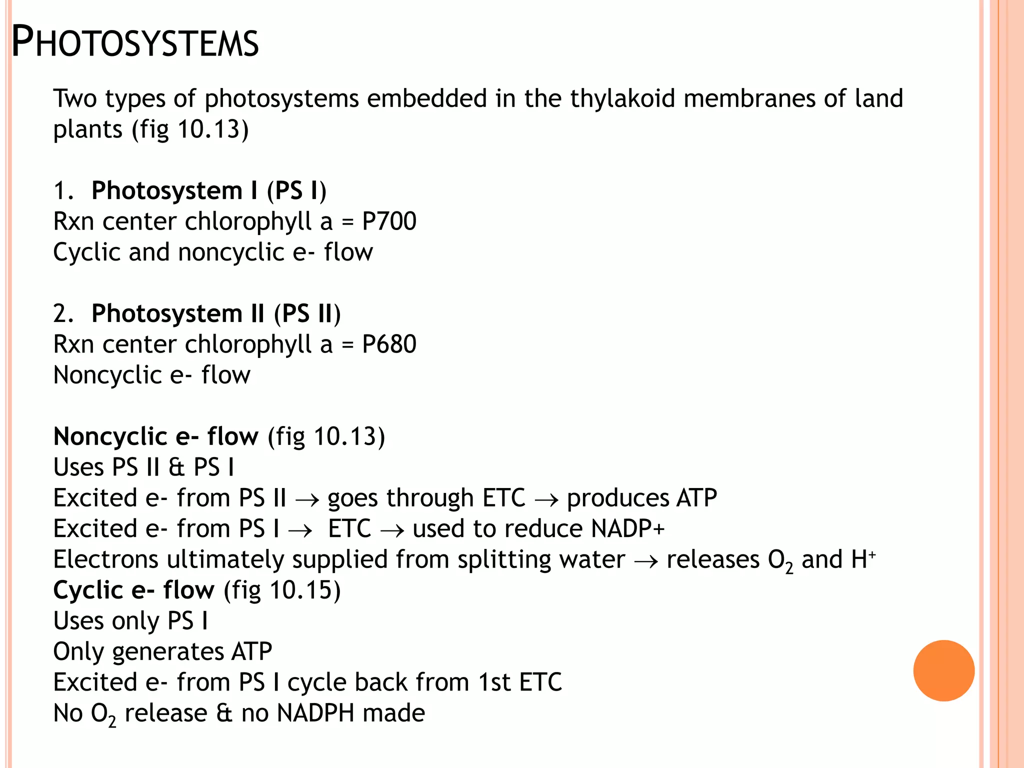 photosystem Iand II,ETC | PPTX