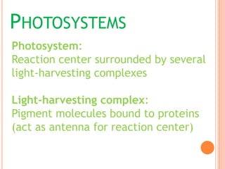 photosystem Iand II,ETC | PPTX