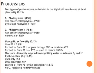 photosystem Iand II,ETC | PPTX