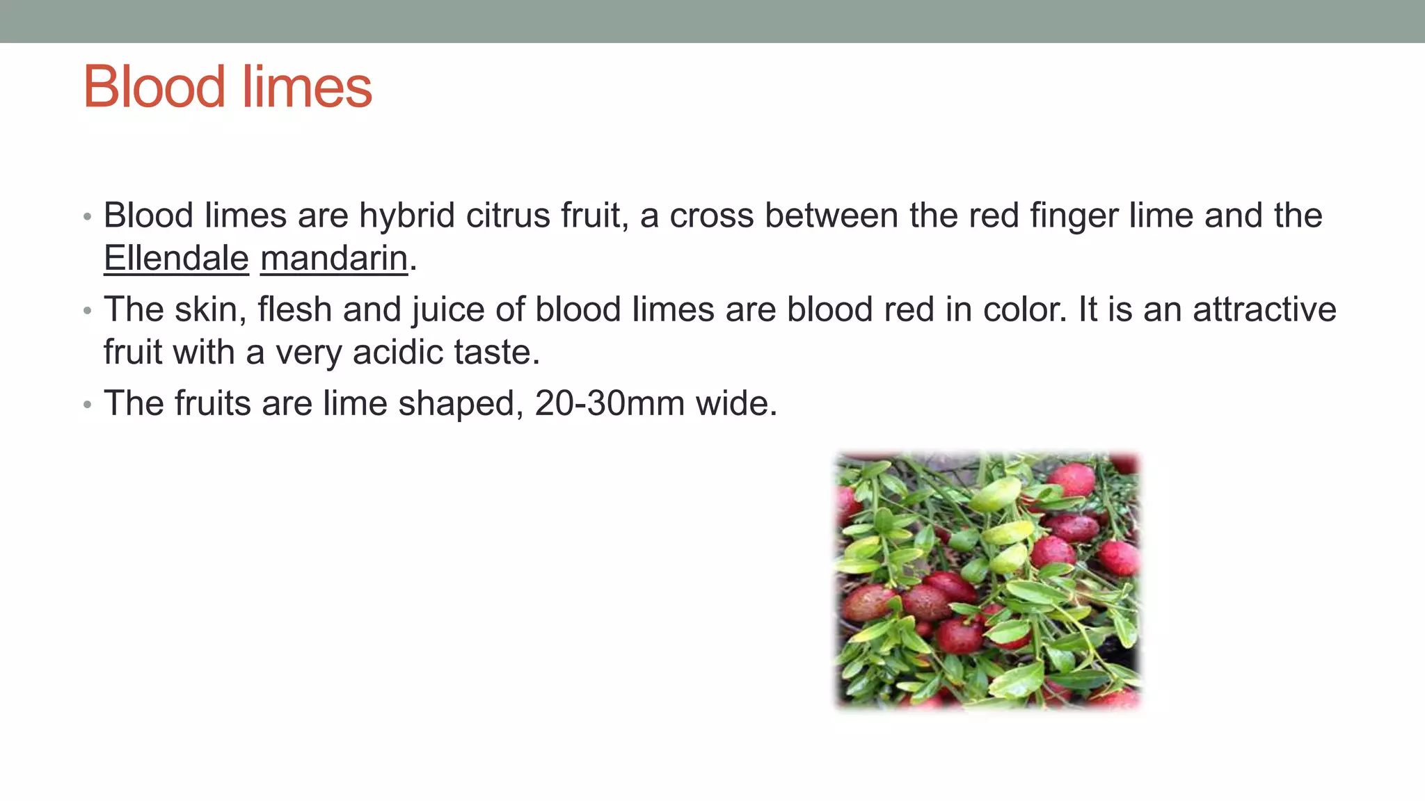 Hybrid Fruits | PPTX