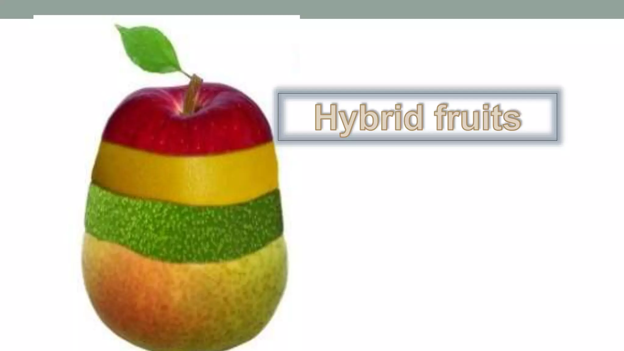 Hybrid Fruits | PPTX