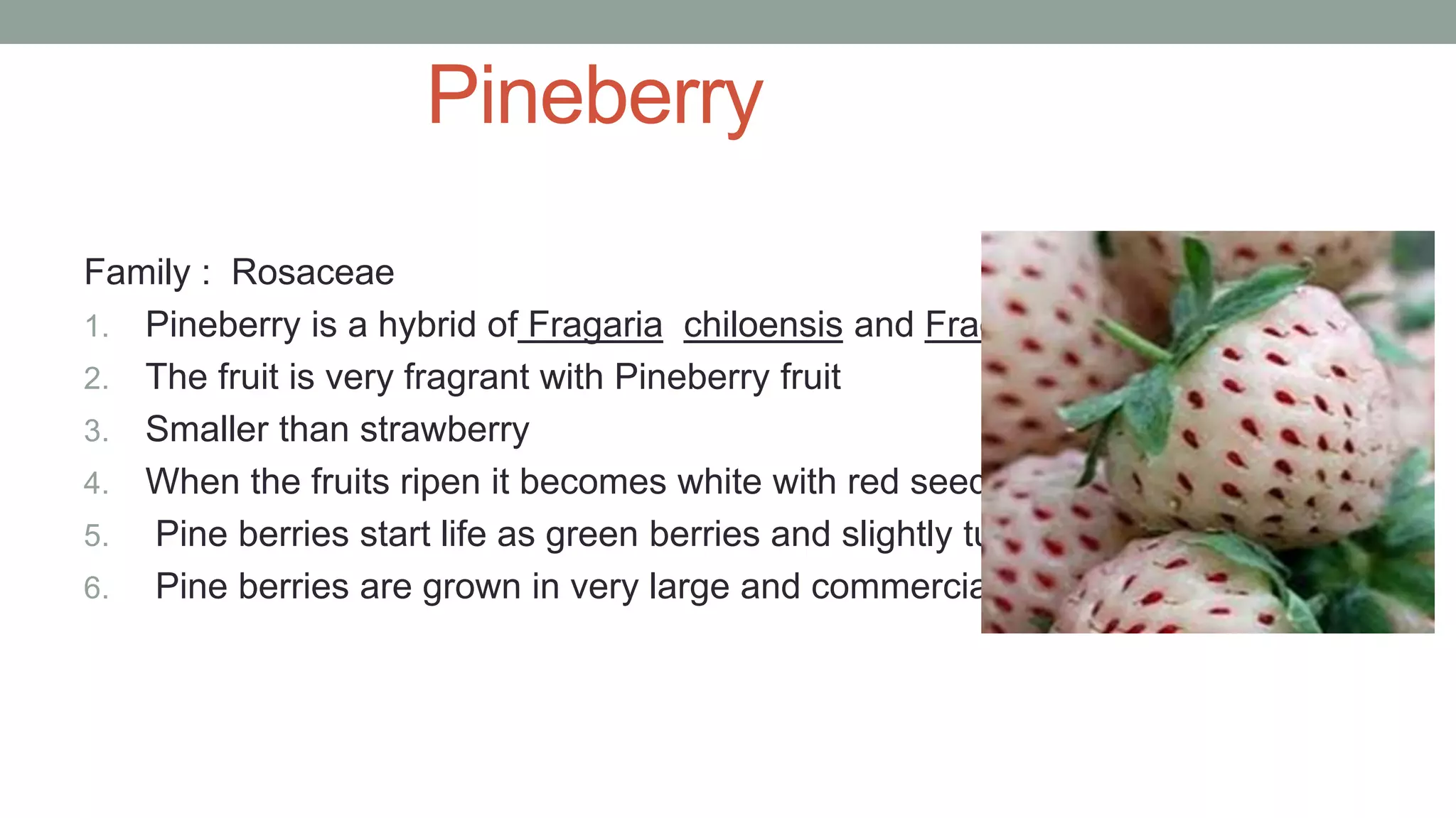 Hybrid Fruits | PPTX