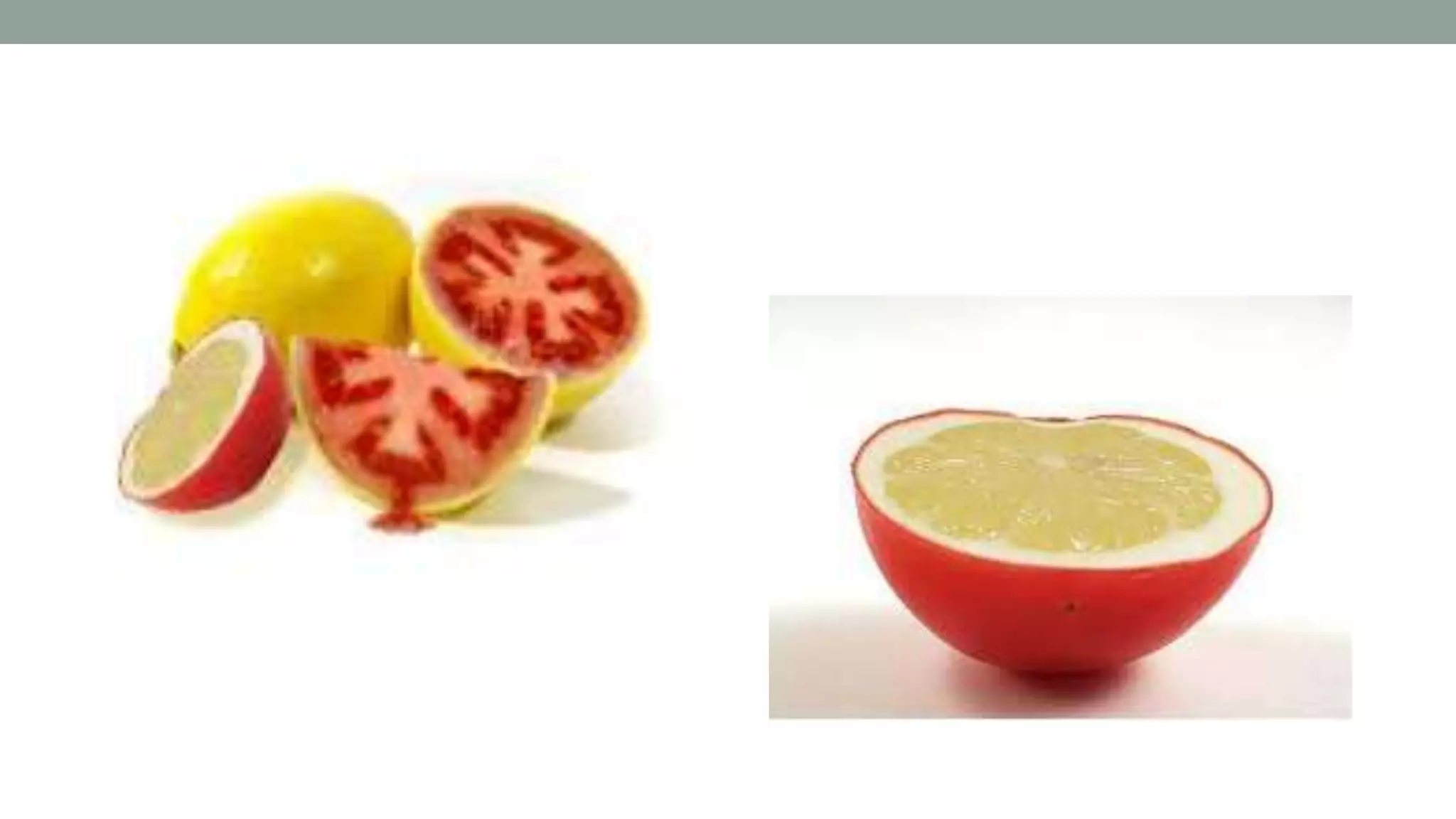 Hybrid Fruits | PPTX