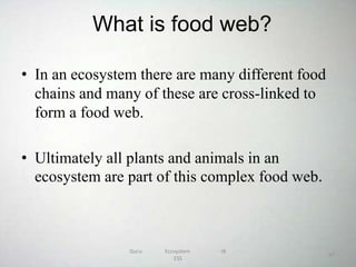 Topic 2 -The Ecosystem Powerpoint | PPTX