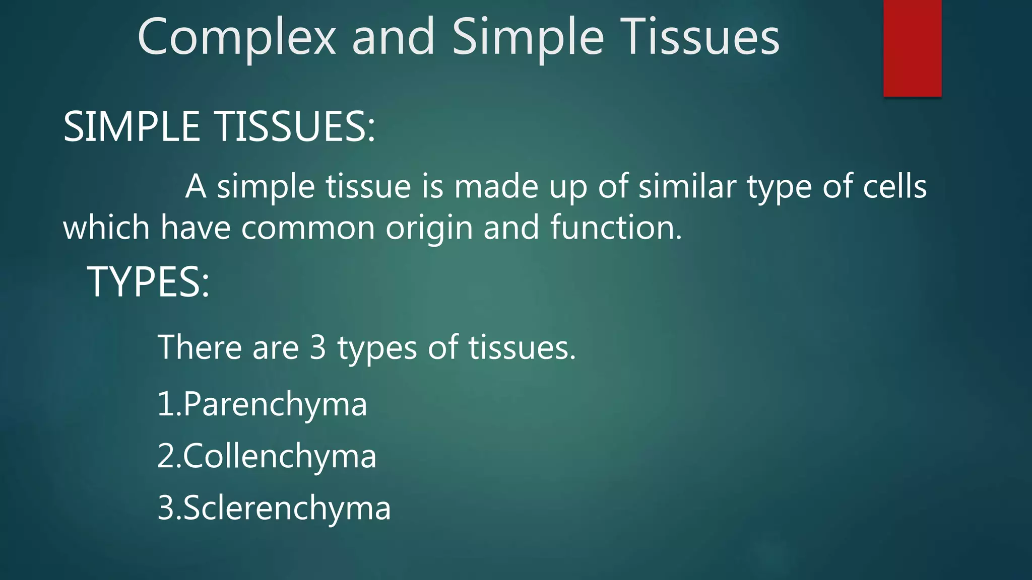 simple and complex tissue | PPTX