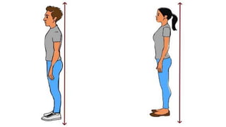 HOW TO MAINTAIN GOOD POSTURE. | PPTX