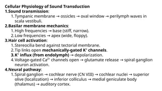 Pathophysiology of Cochlea and their related diseases | PPTX
