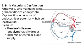 Pathophysiology of Cochlea and their related diseases | PPTX