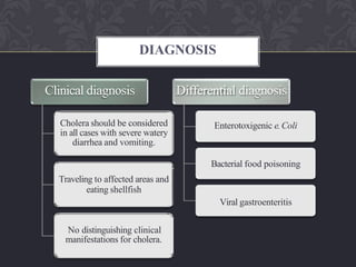 CHOLERA TOPIC PPT 07032024 THRUSDAY pptx | PPTX