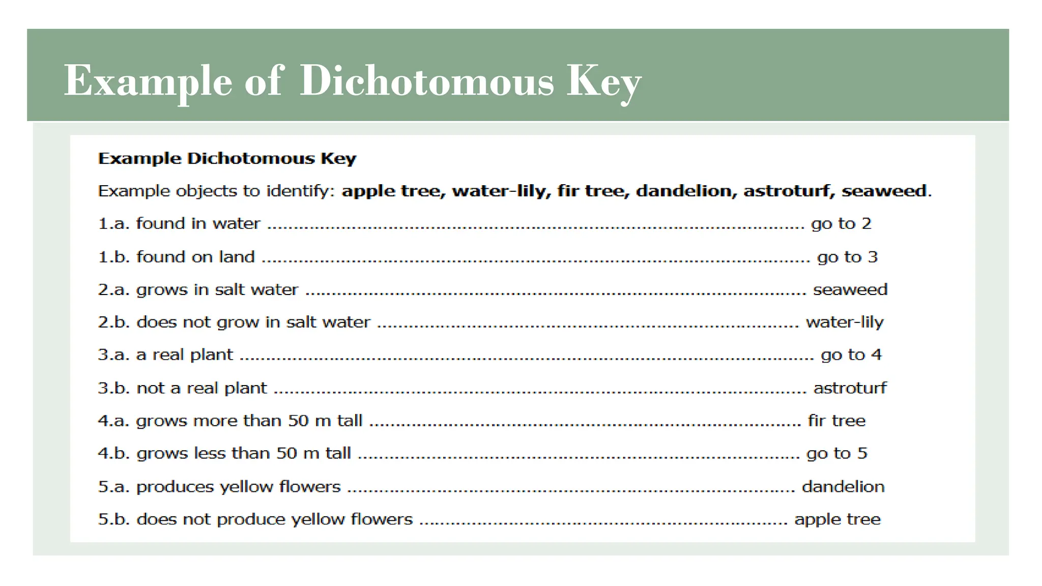 PLANT MORPHOLOGY AND ANATOMY............ | PDF