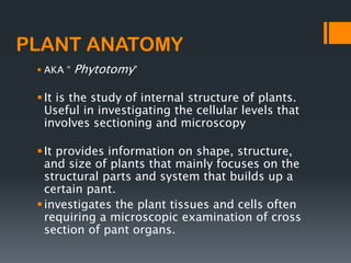 PLANT MORPHOLOGY AND ANATOMY............ | PDF
