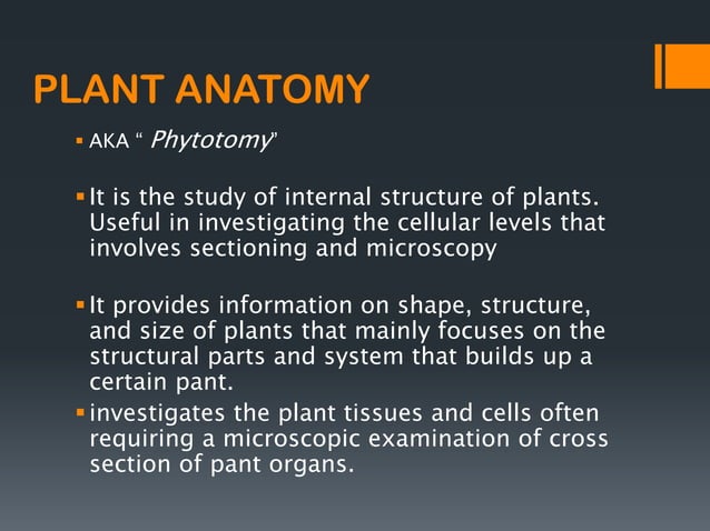 PLANT MORPHOLOGY AND ANATOMY............ | PPT