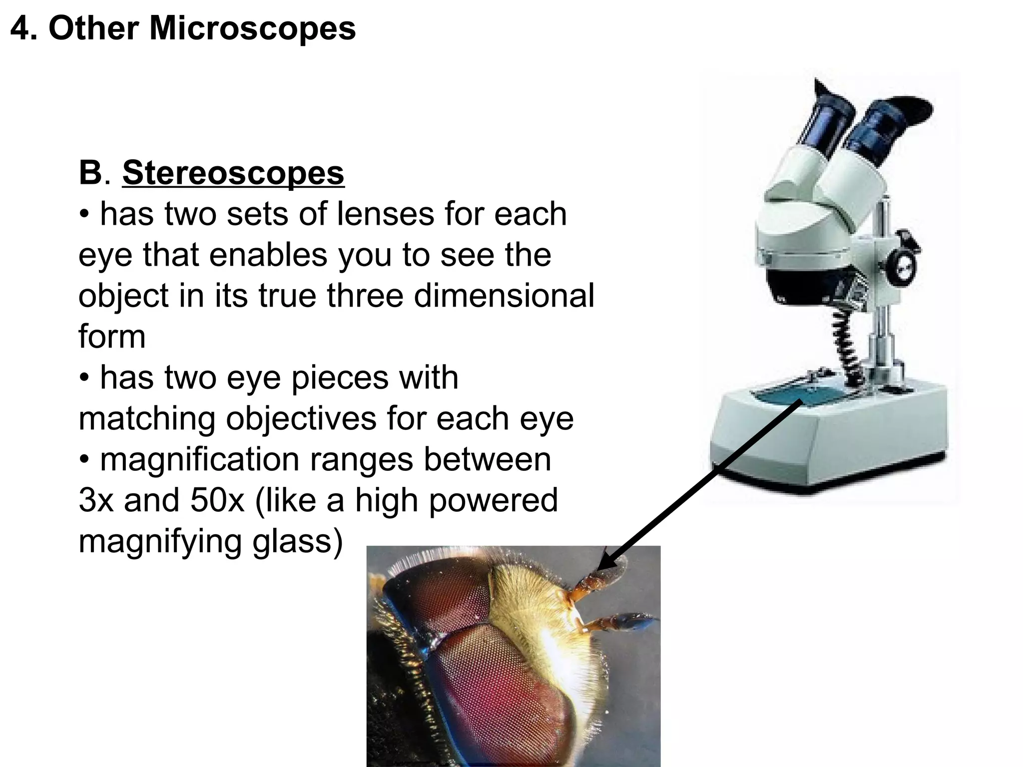 Topic 3 - Microscopes | PPT