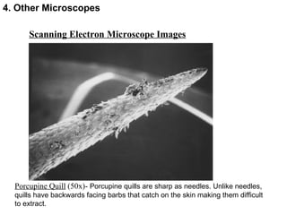 Topic 3 - Microscopes | PPT