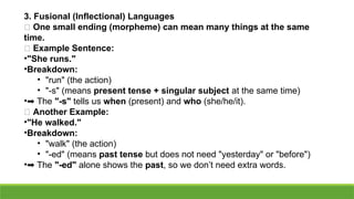 Morphology: Words and how they are formed | PPTX
