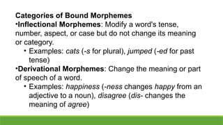 Morphology: Words and how they are formed | PPT