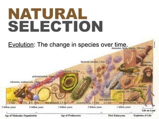 Topic 4 - Cell Theory and Natural Selection | PPT