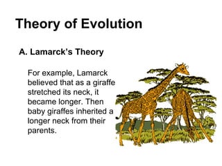 Topic 4 - Cell Theory and Natural Selection | PPT