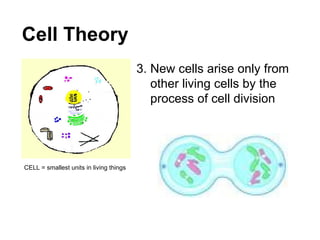 Topic 4 - Cell Theory and Natural Selection | PPT | Biological Sciences ...