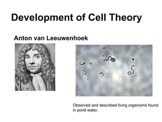 Topic 4 - Cell Theory and Natural Selection | PPT | Biological Sciences ...