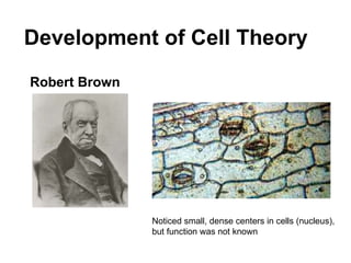 Topic 4 - Cell Theory and Natural Selection | PPT