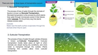 This topic is all about Water Irrigation Systems | PPTX