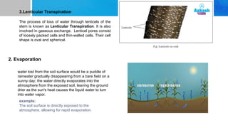 This topic is all about Water Irrigation Systems | PPT