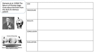 Topic 4 The brain and neuropsychology - how does your brain affect you ...