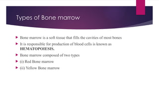 Topic-4 Bone Marrow MLT-403.pptx Free download | PPTX