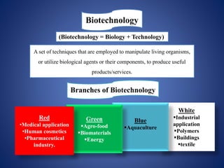 Designing of Drug Delivery System for Biotechnology Products ...