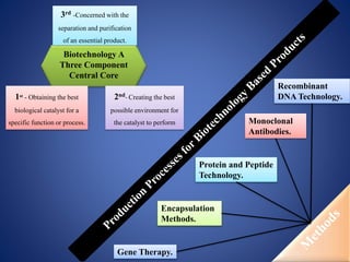 Designing of Drug Delivery System for Biotechnology Products ...