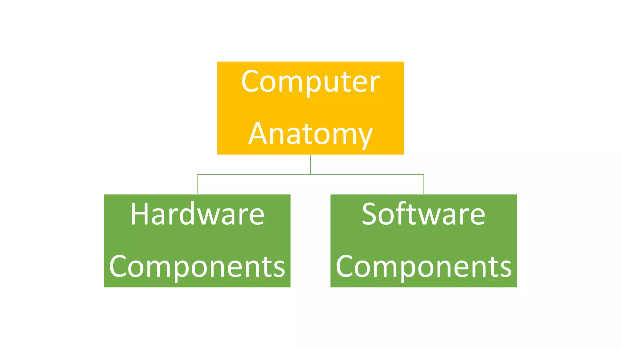 Topic -Anatomy of Computer.pptx