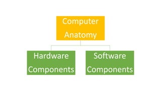 Topic -Anatomy of Computer.pptx