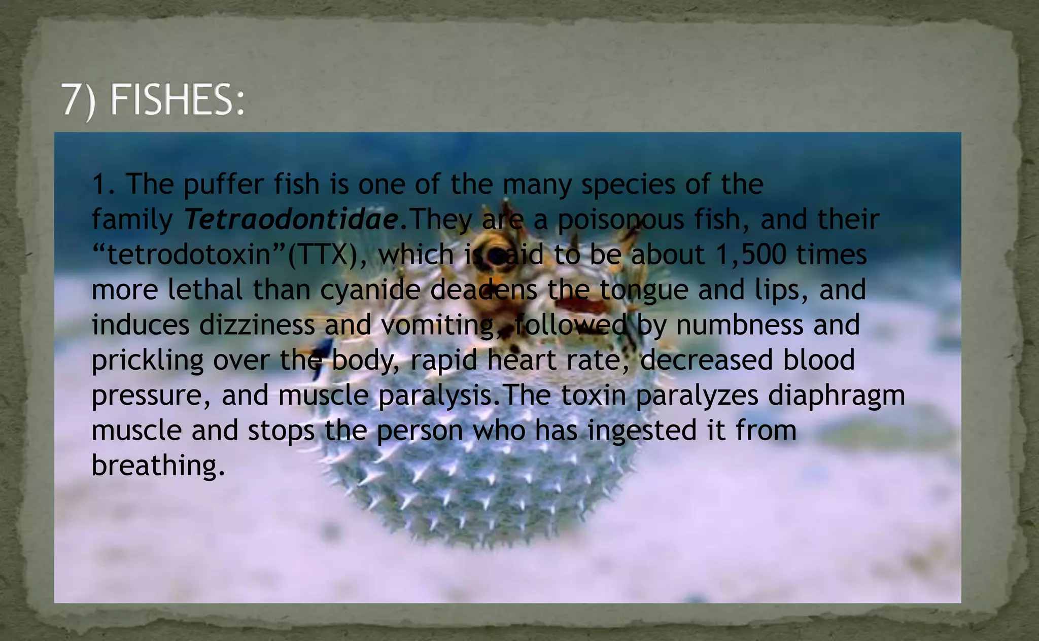 TOPIC- COMMONLY ENCOUNTERED ANIMAL POISONS IN INDIA.pptx