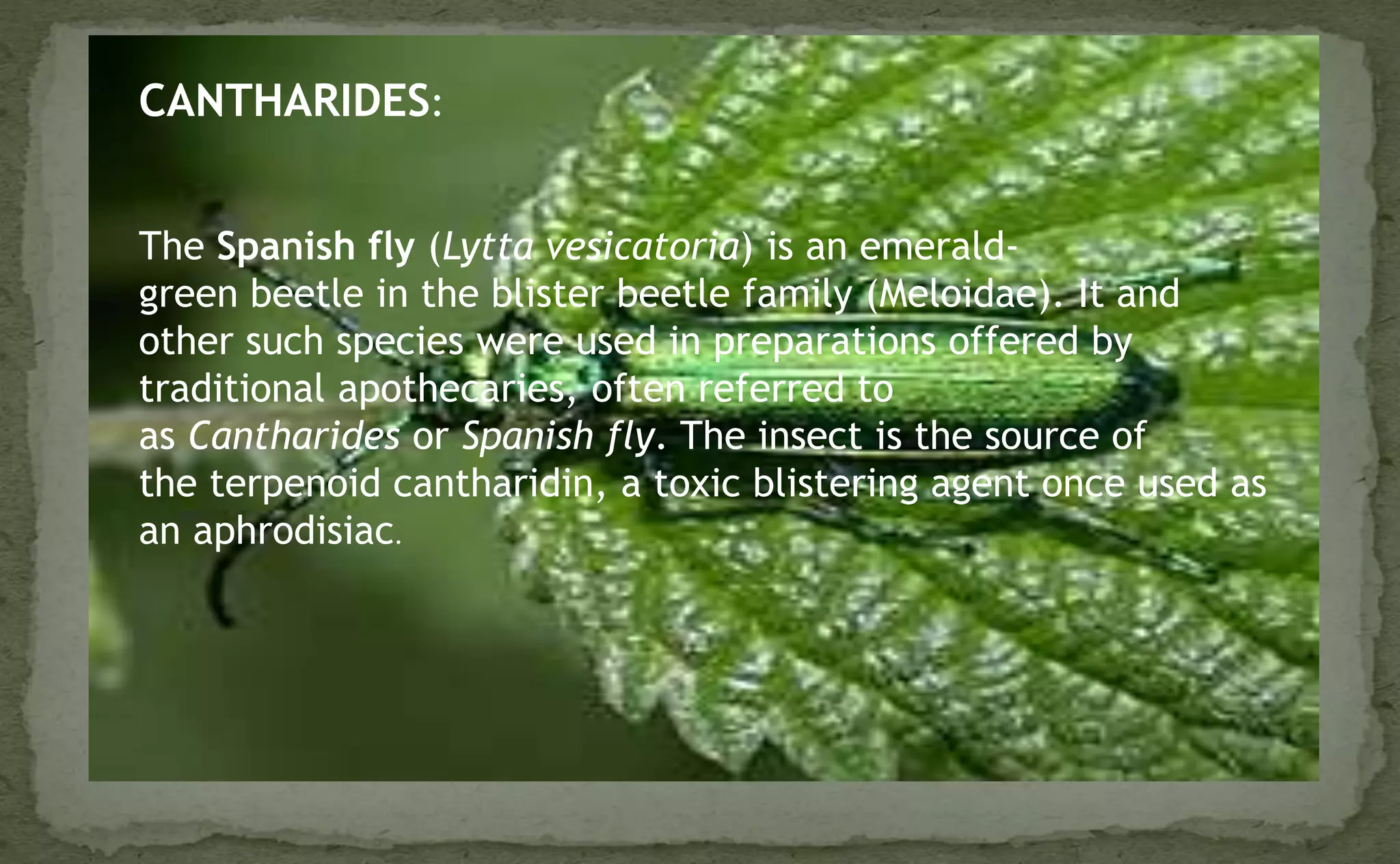 TOPIC- COMMONLY ENCOUNTERED ANIMAL POISONS IN INDIA.pptx