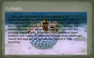 TOPIC- COMMONLY ENCOUNTERED ANIMAL POISONS IN INDIA.pptx