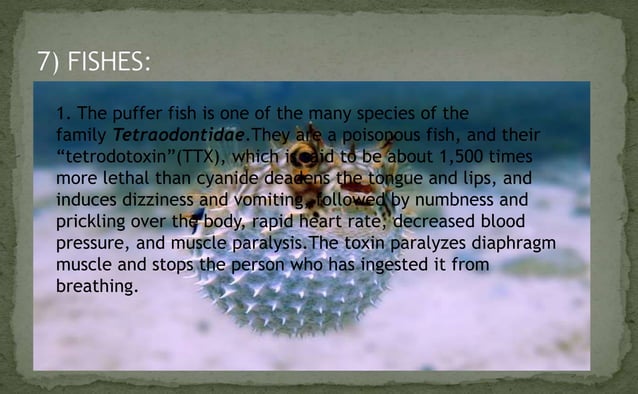 TOPIC- COMMONLY ENCOUNTERED ANIMAL POISONS IN INDIA.pptx