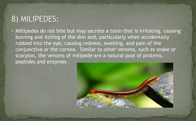 TOPIC- COMMONLY ENCOUNTERED ANIMAL POISONS IN INDIA.pptx