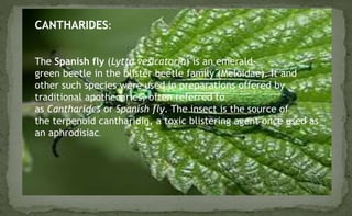 TOPIC- COMMONLY ENCOUNTERED ANIMAL POISONS IN INDIA.pptx