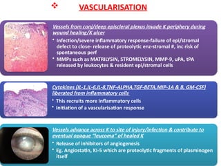 TOPIC - CORNEA - Anatomy and Physiology of cornea BASICS | PPTX
