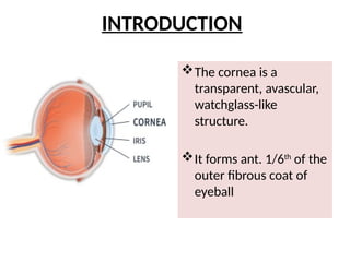 TOPIC - CORNEA - Anatomy and Physiology of cornea BASICS | PPTX