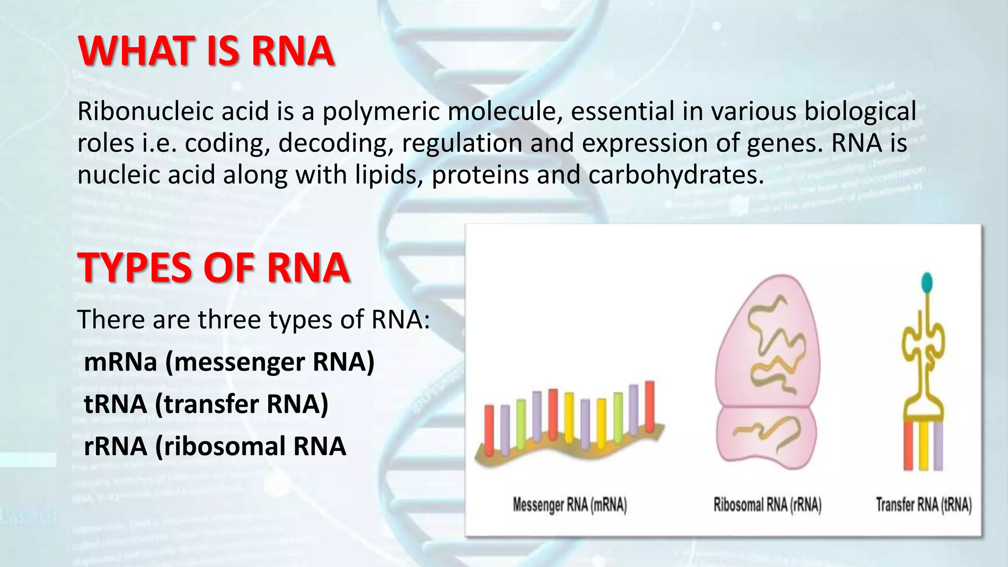 TOPIC- DIFFERENT TYPES OF RNA, THEIR SYNTHESIS AND STRUCTURE.pptx