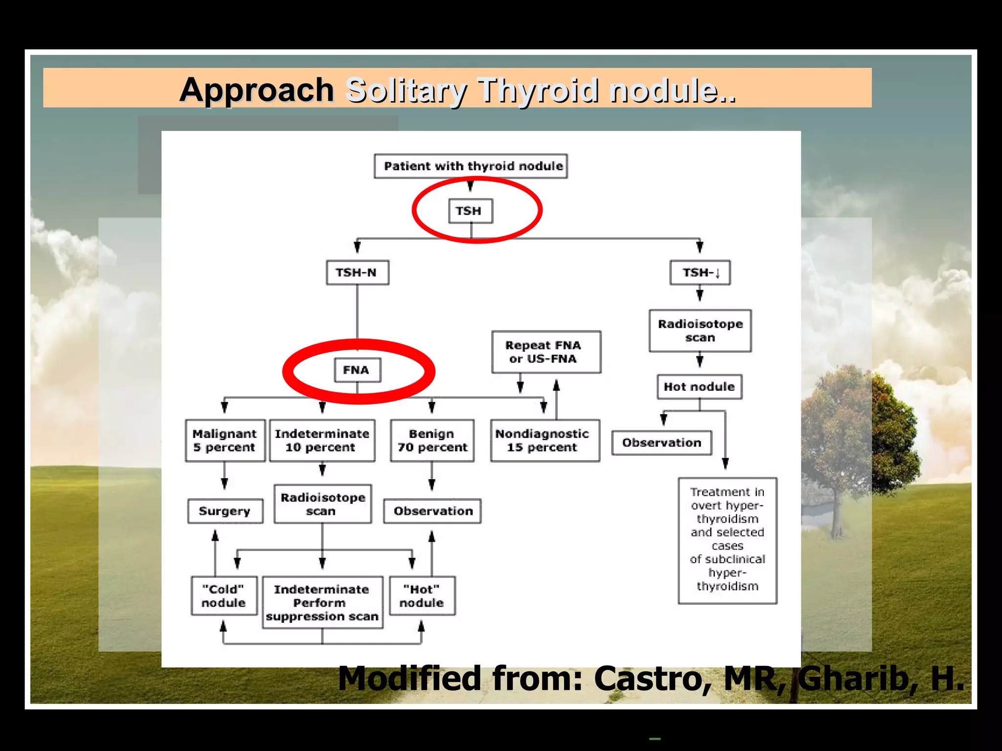 Solitary Thyroid Nodule Ppt
