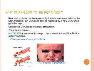 TOPIC-DNA repair mechanism and their types.pptx